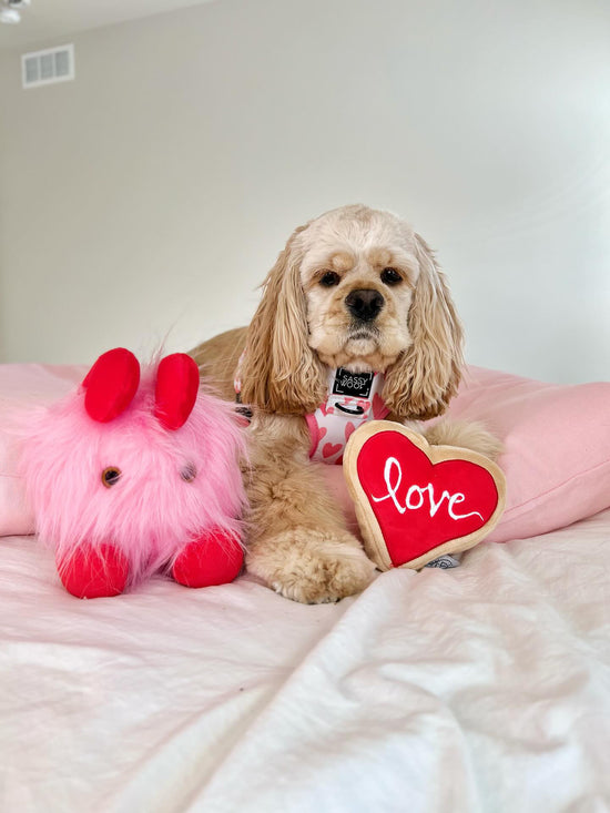 Midlee Love Bug Valentine's Day Dog Toy – Midlee Designs