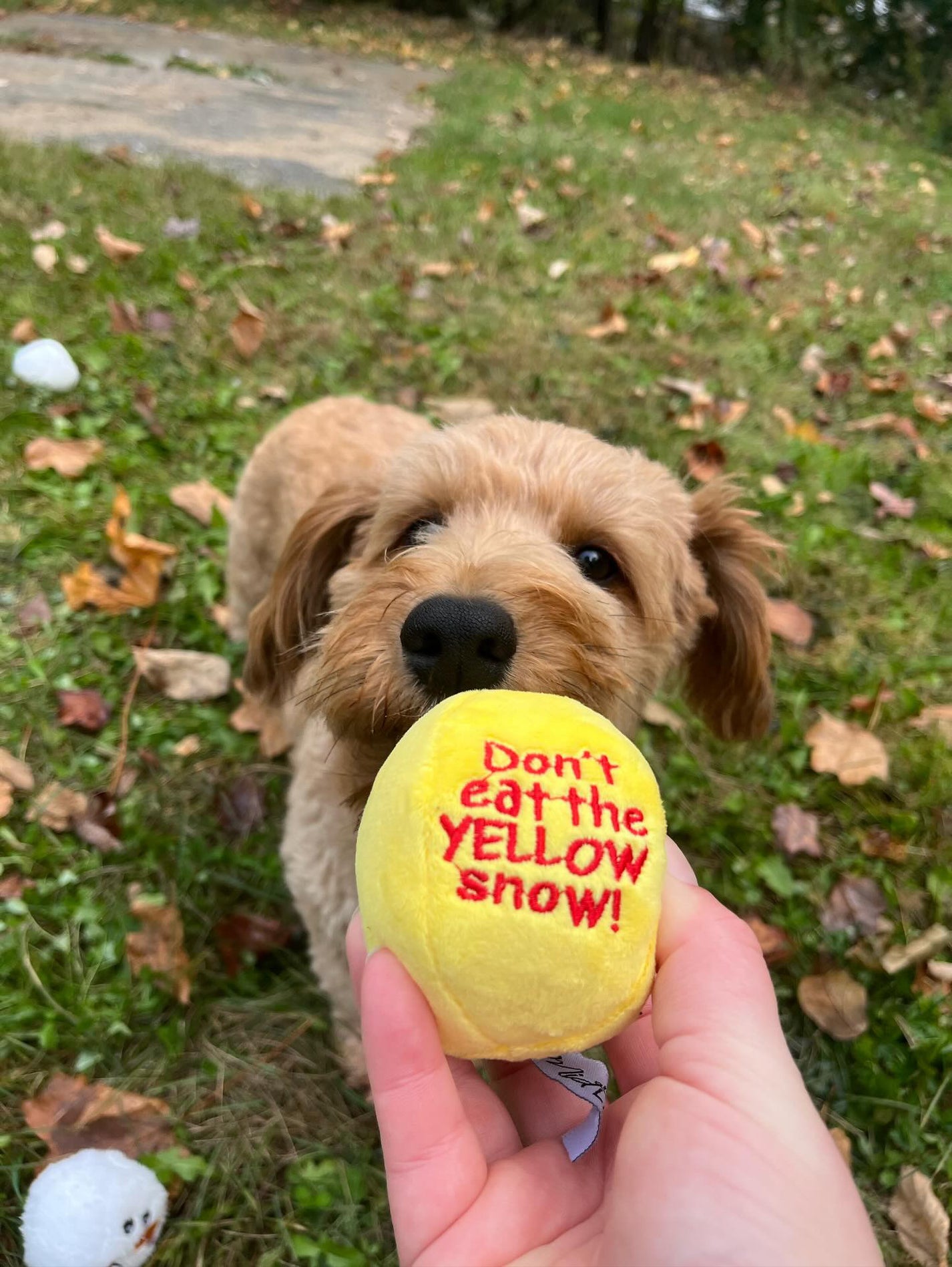 Midlee Snowball Fight Plush Dog Toy - 3" – Midlee Designs