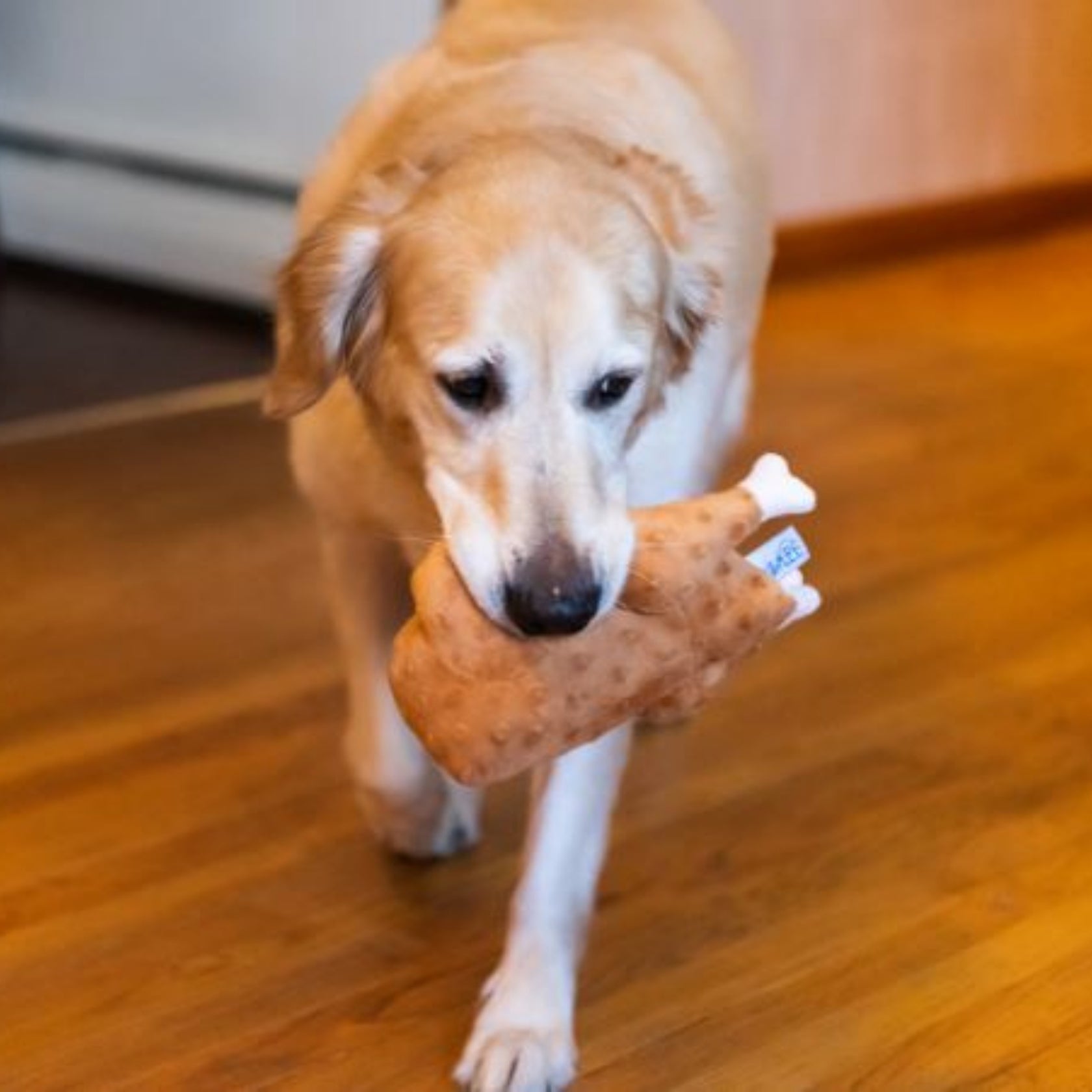 Midlee Roasted Thanksgiving Turkey Plush Dog Toy – Midlee Designs