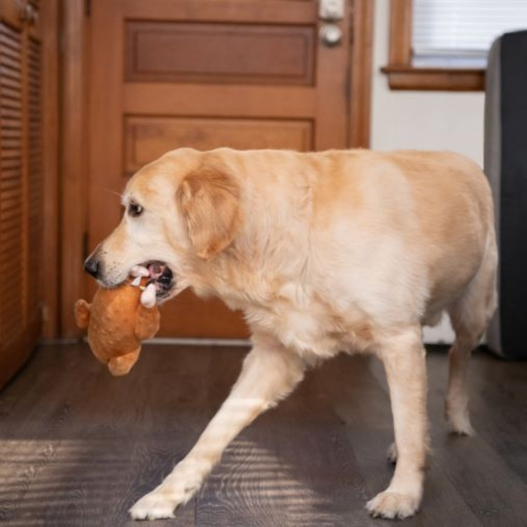 Midlee Roasted Thanksgiving Turkey Plush Dog Toy – Midlee Designs