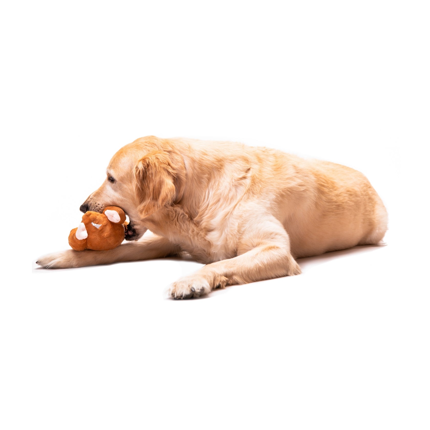 Midlee Roasted Thanksgiving Turkey Plush Dog Toy – Midlee Designs