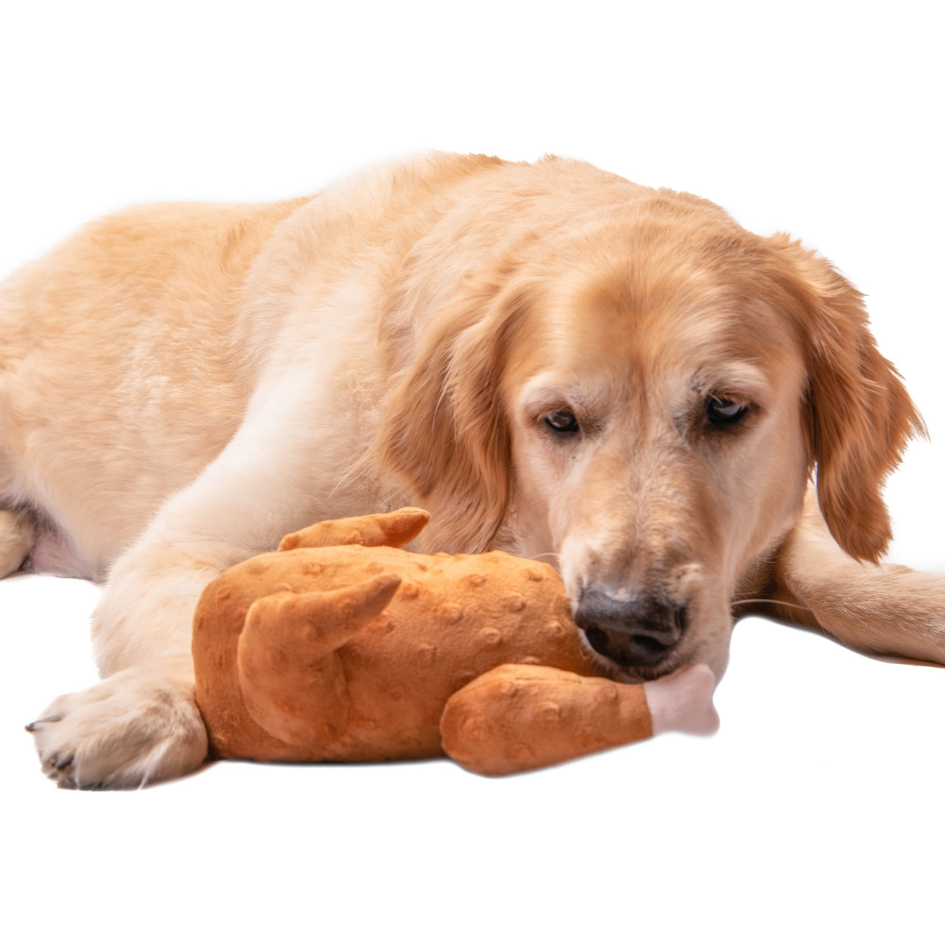 Midlee Roasted Thanksgiving Turkey Plush Dog Toy – Midlee Designs