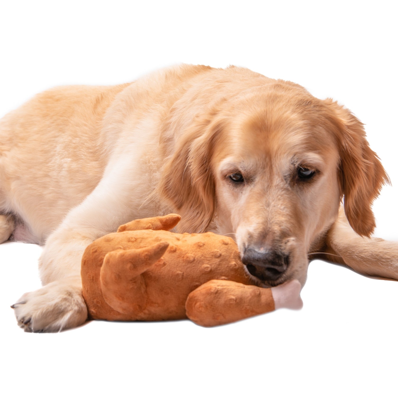 Midlee Roasted Thanksgiving Turkey Plush Dog Toy – Midlee Designs