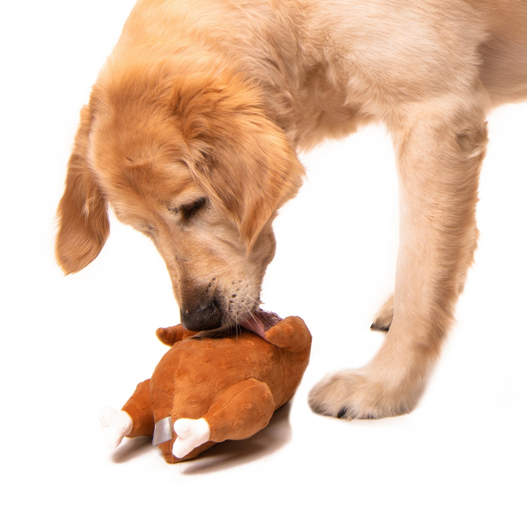 Midlee Roasted Thanksgiving Turkey Plush Dog Toy – Midlee Designs