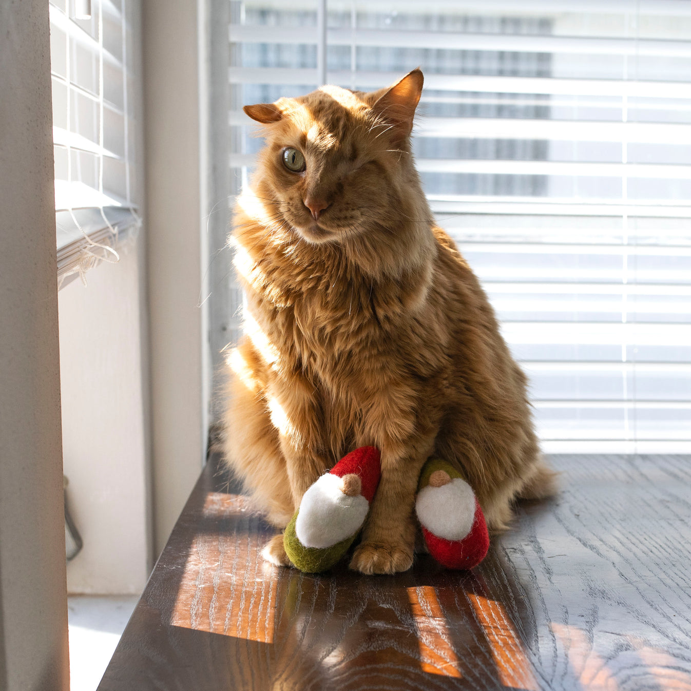 Midlee Felt Wool Gnome Christmas Cat Toy- Set of 2 – Midlee Designs