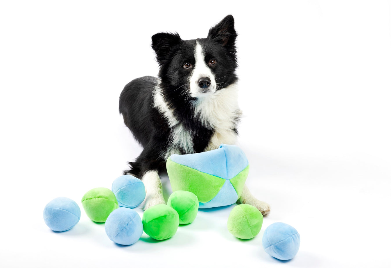 Midlee Hide a Ball Dog Toy - Blue/Green – Midlee Designs
