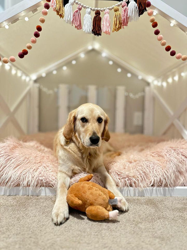 Midlee Roasted Thanksgiving Turkey Plush Dog Toy – Midlee Designs