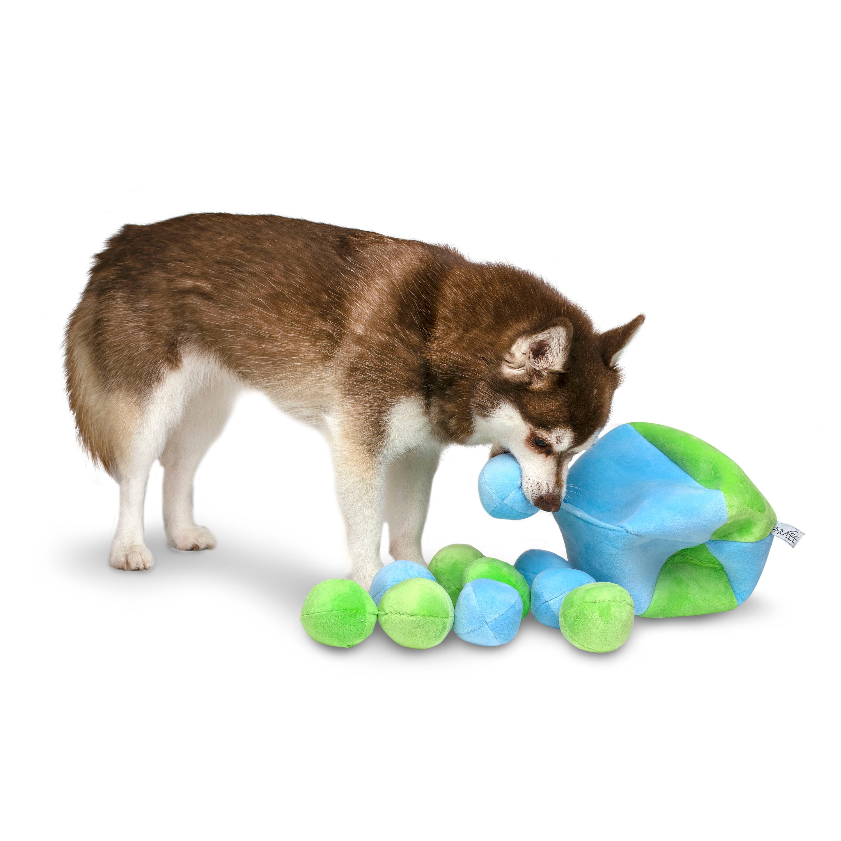 Midlee Hide a Ball Dog Toy - Blue/Green – Midlee Designs