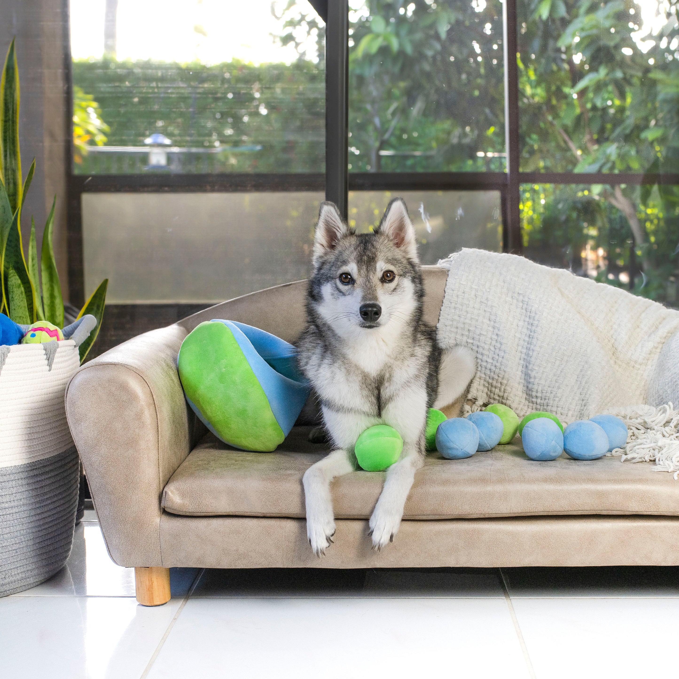 Midlee Hide a Ball Dog Toy - Blue/Green – Midlee Designs