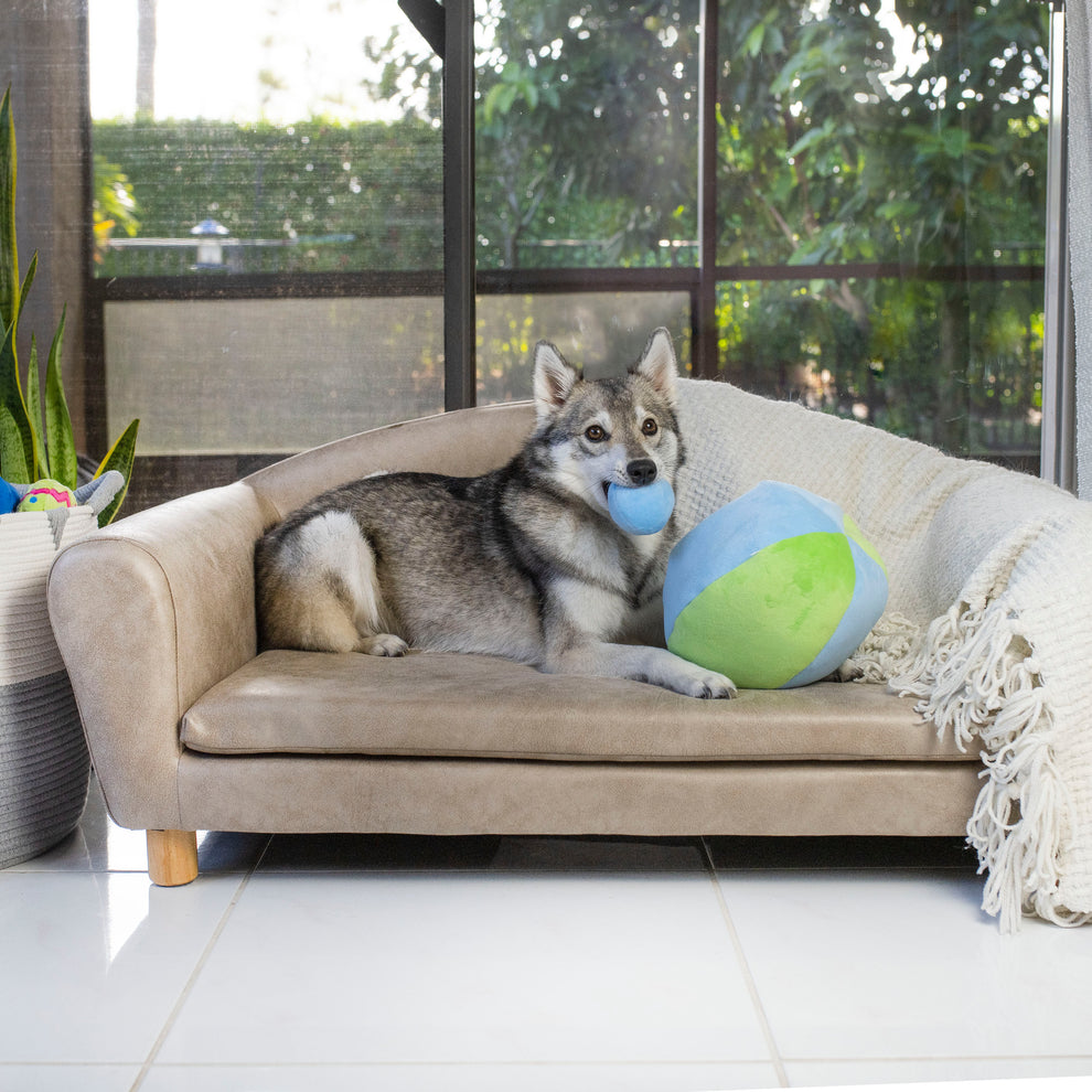 Midlee Hide a Ball Dog Toy - Blue/Green – Midlee Designs