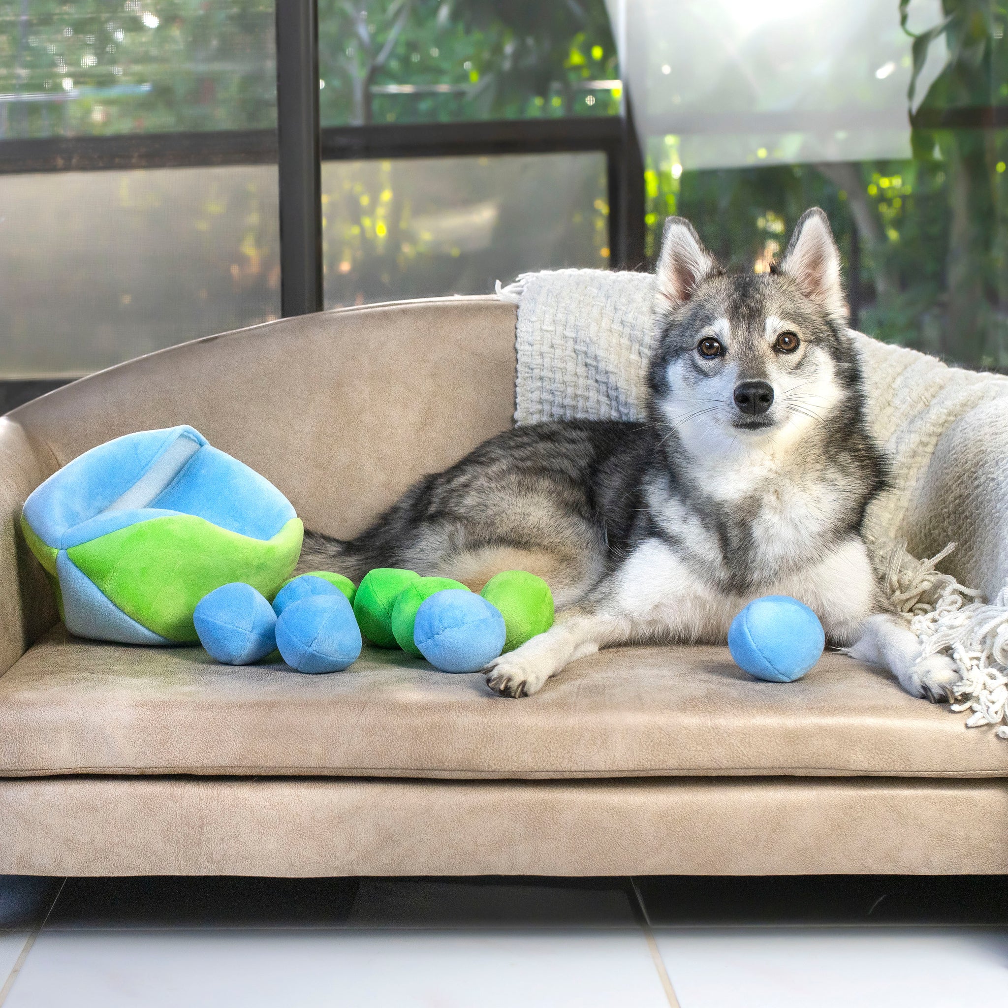 Midlee Hide a Ball Dog Toy - Blue/Green – Midlee Designs