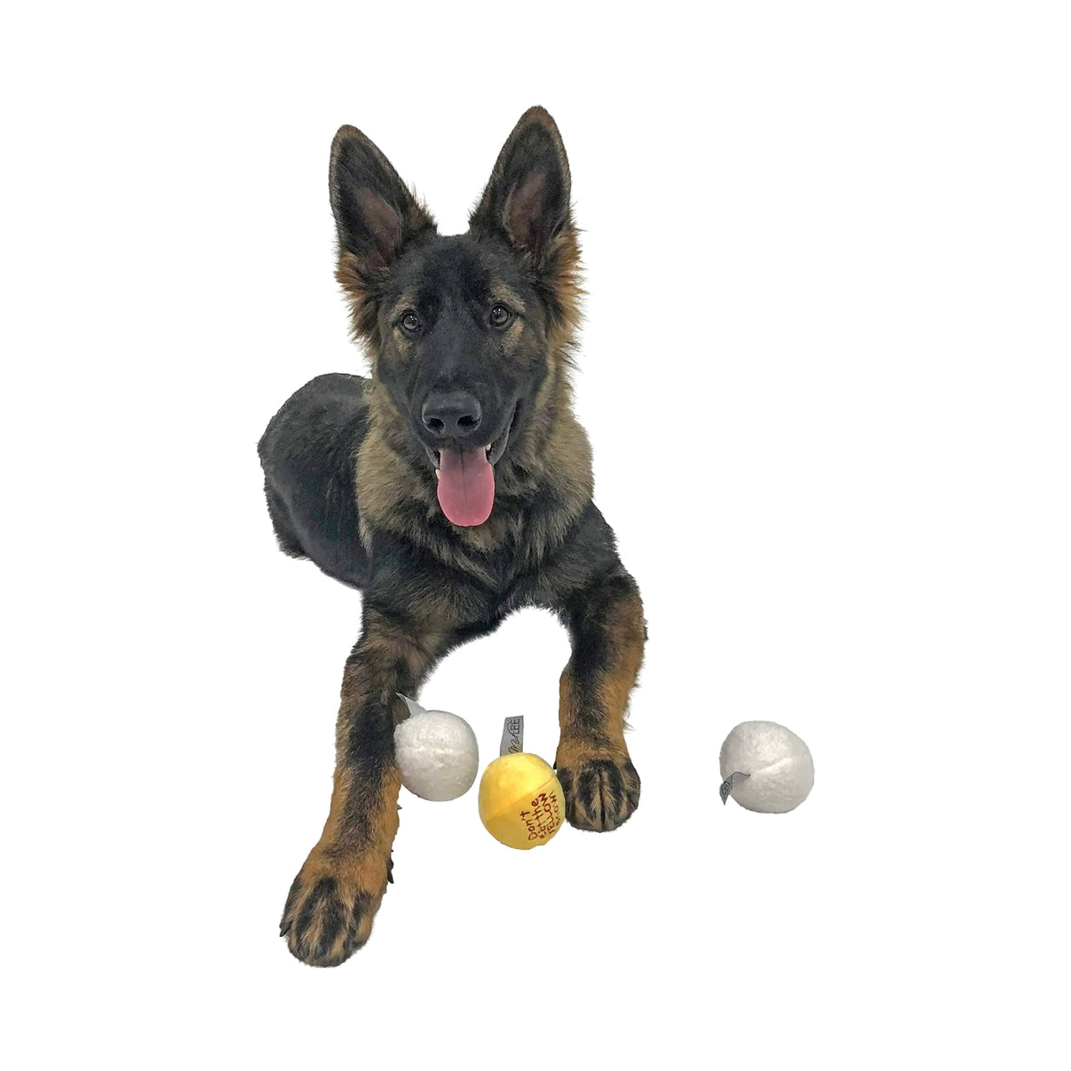 Midlee Snowball Fight Plush Dog Toy - 3" – Midlee Designs