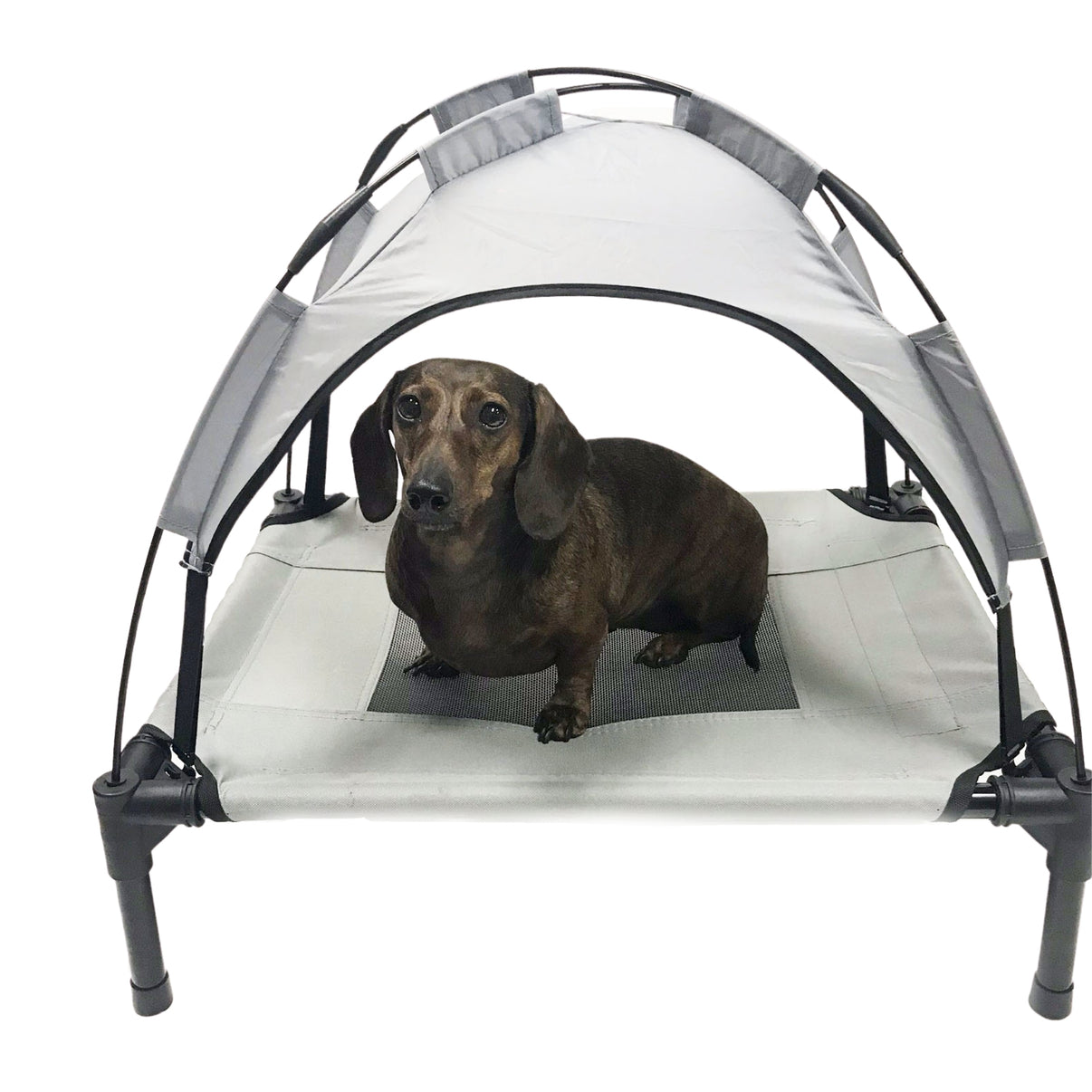 Midlee Grey Dog Cot with Canopy Elevated Pet Bed – Midlee Designs