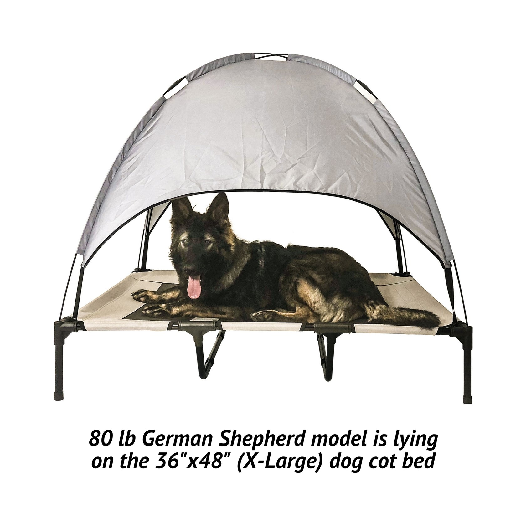 Midlee Grey Dog Cot with Canopy Elevated Pet Bed – Midlee Designs