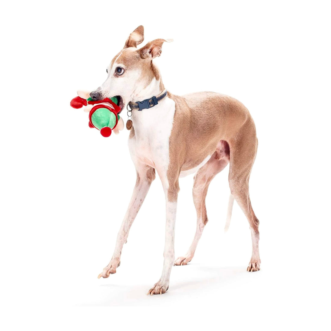 Midlee Christmas Elf Plush Dog Toy – Midlee Designs