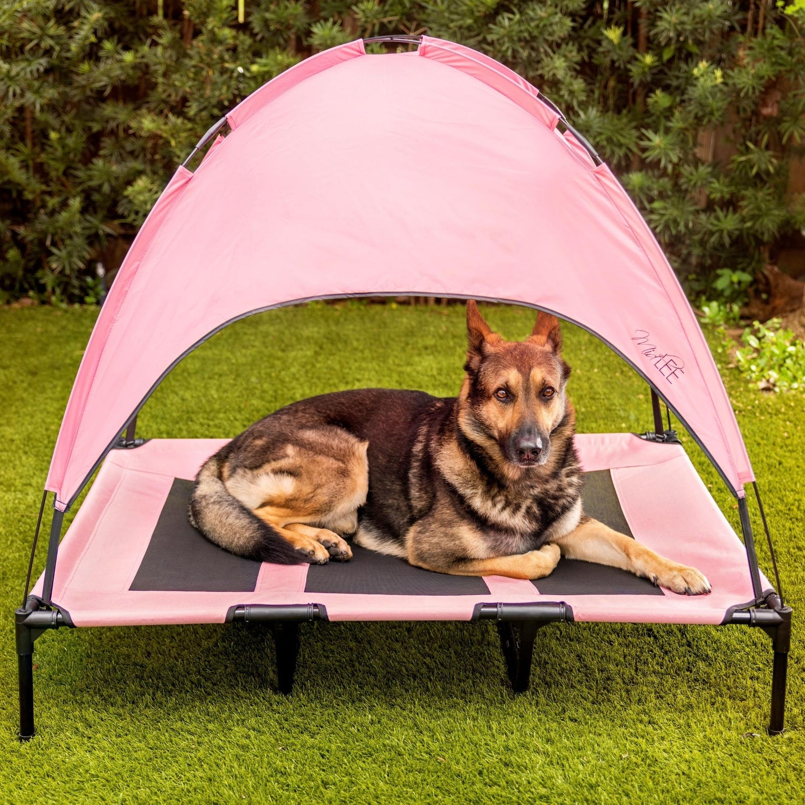 Midlee Pink Dog Cot Canopy – Midlee Designs