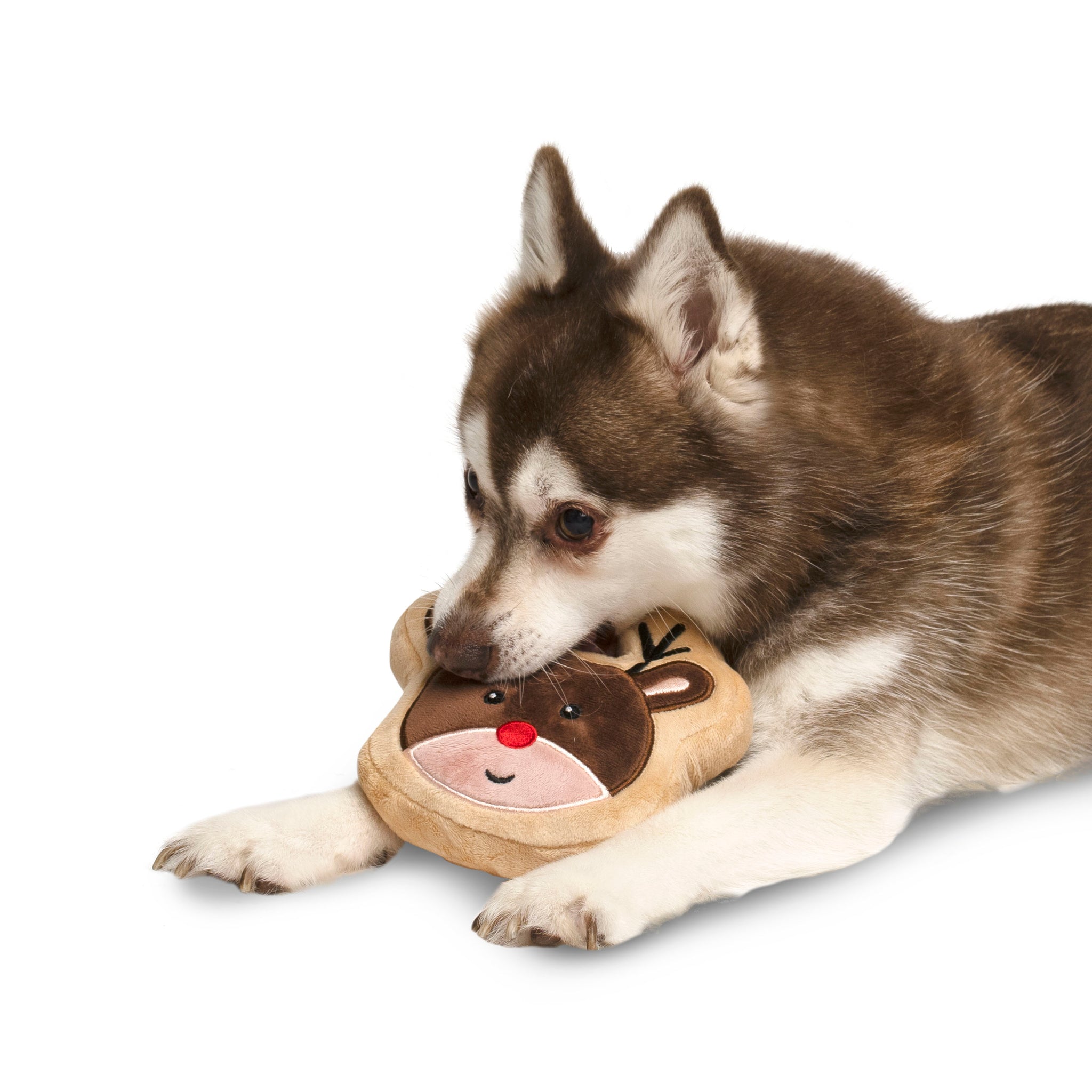Midlee Reindeer Sugar Cookie Dog Toy – Midlee Designs