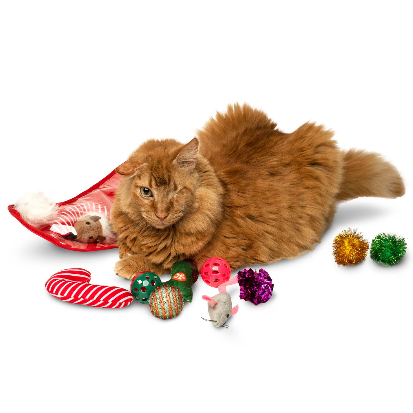 Midlee Christmas Stocking Cat Toy Gift Set (14 Toys)- Candy Canes, Bel ...