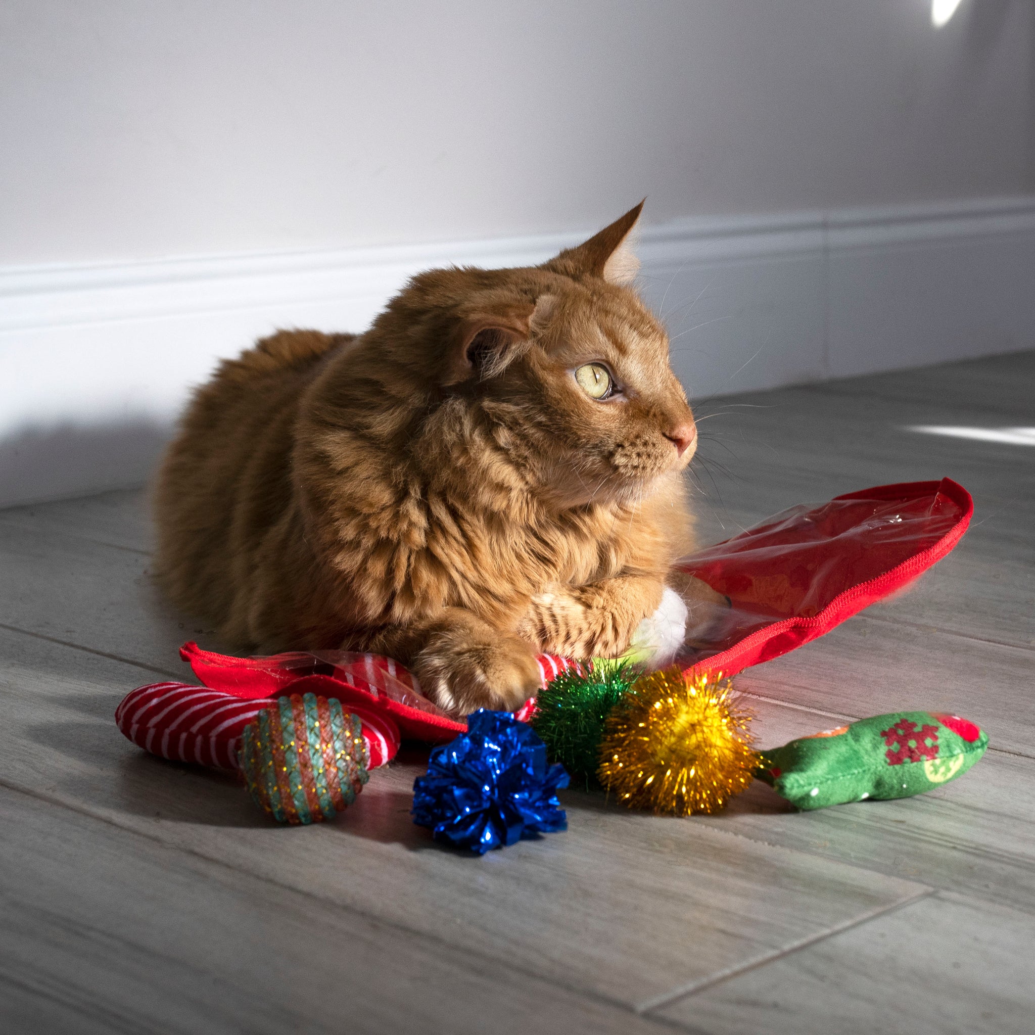 Midlee Christmas Stocking Cat Toy Gift Set (14 Toys)- Candy Canes, Bel ...
