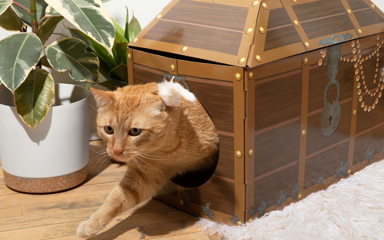 Midlee Treasure Chest Cat Scratcher House – Midlee Designs