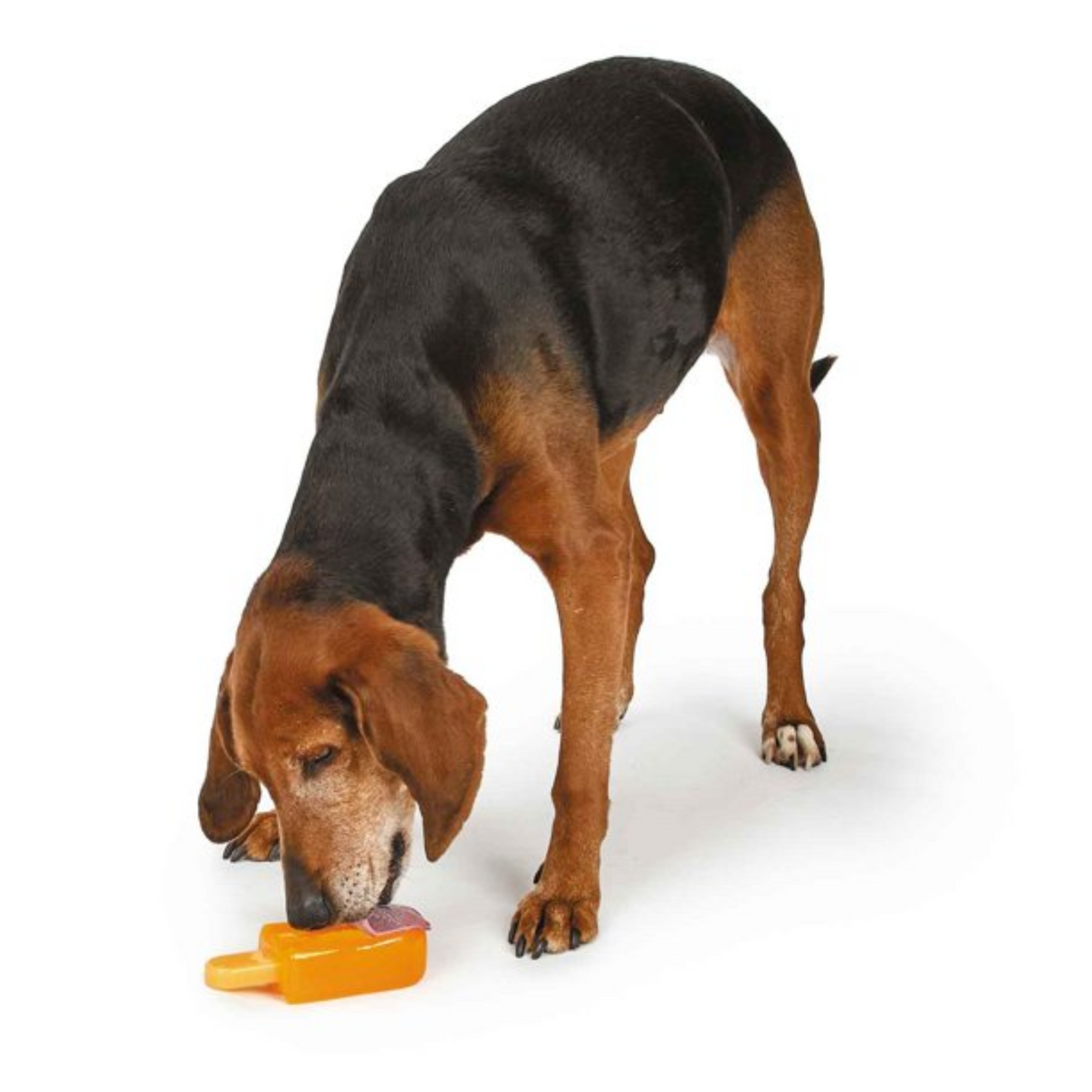 Cool Pup Cooling Popsicle Dog Chew Toy, Orange, Large – Midlee Designs