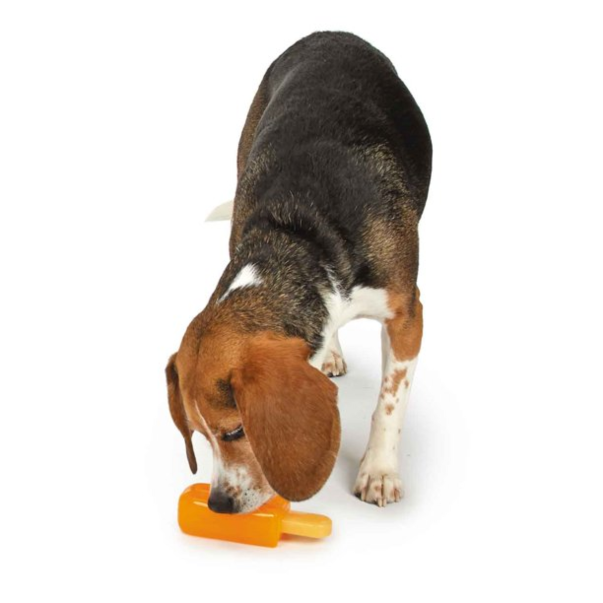 Cool Pup Cooling Popsicle Dog Chew Toy, Orange, Large – Midlee Designs