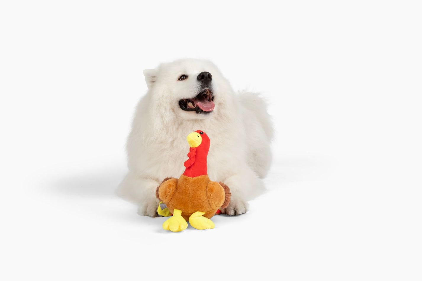 Midlee Thanksgiving Turkey Dog Toy- Large Stuffed Squeaky Pet Toy ...