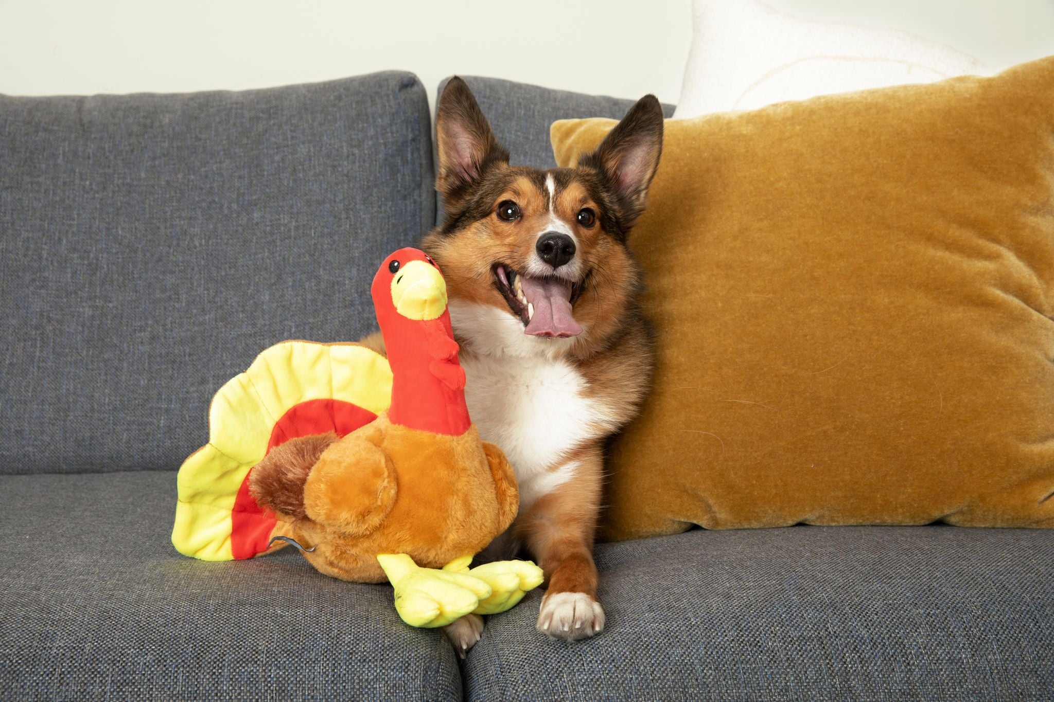 Midlee Thanksgiving Turkey Dog Toy- Large Stuffed Squeaky Pet Toy ...