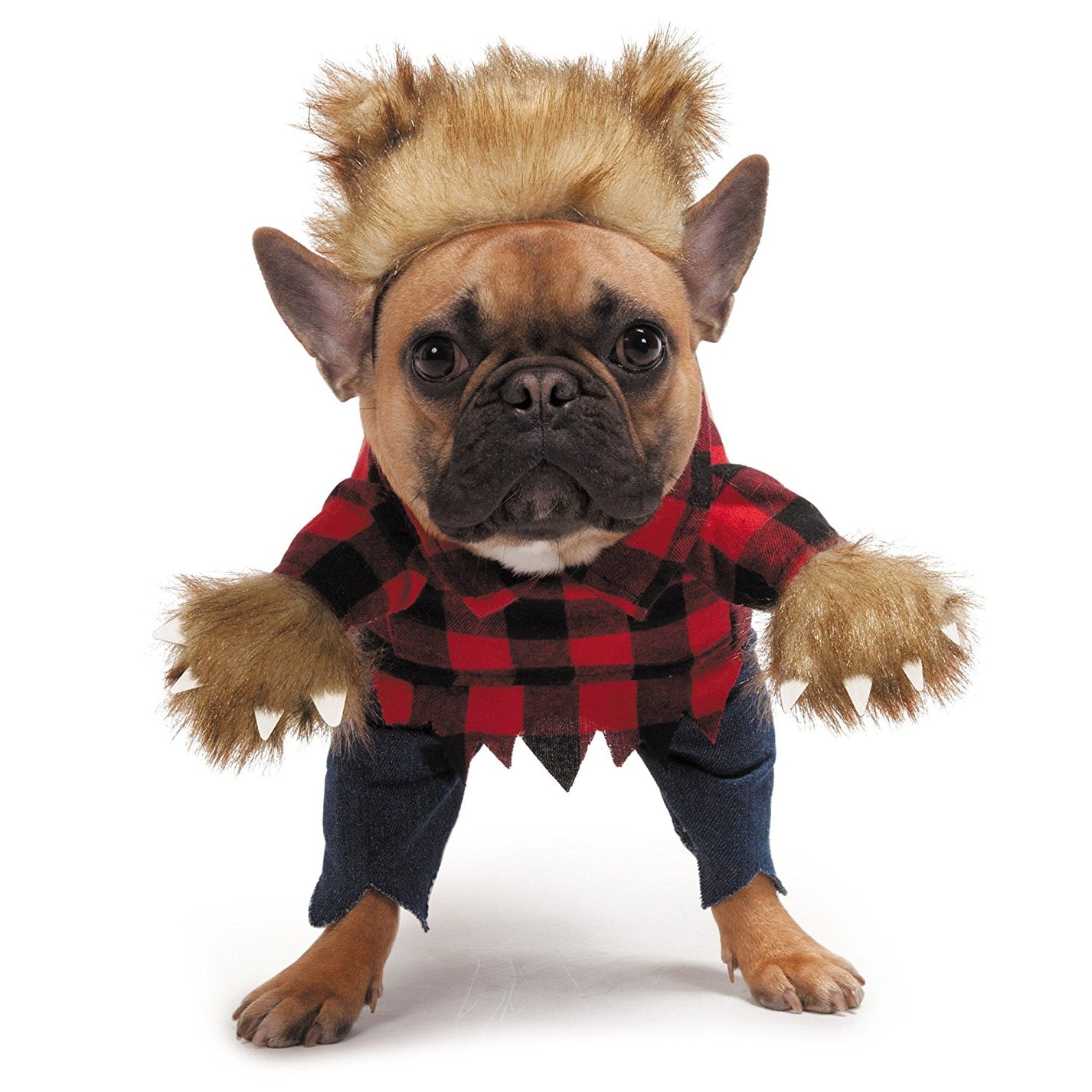 Zack & Zoey Werewolf Costume for Dogs, Large – Midlee Designs